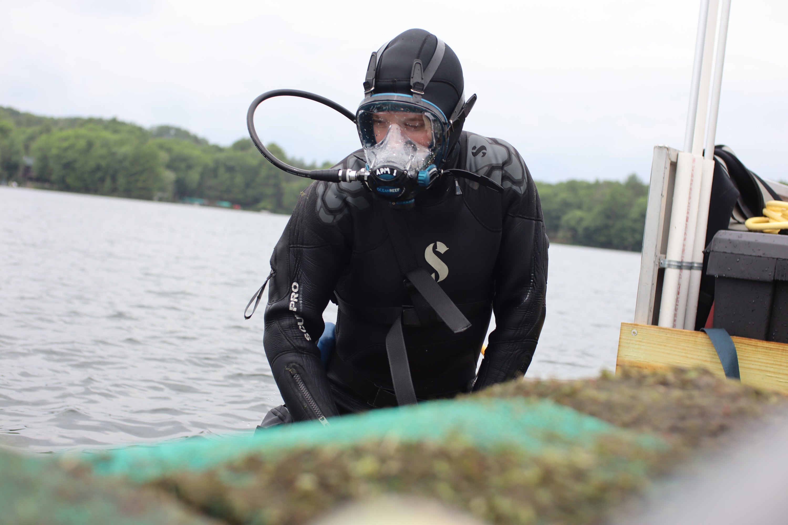 Services – Aquatic Plant Management