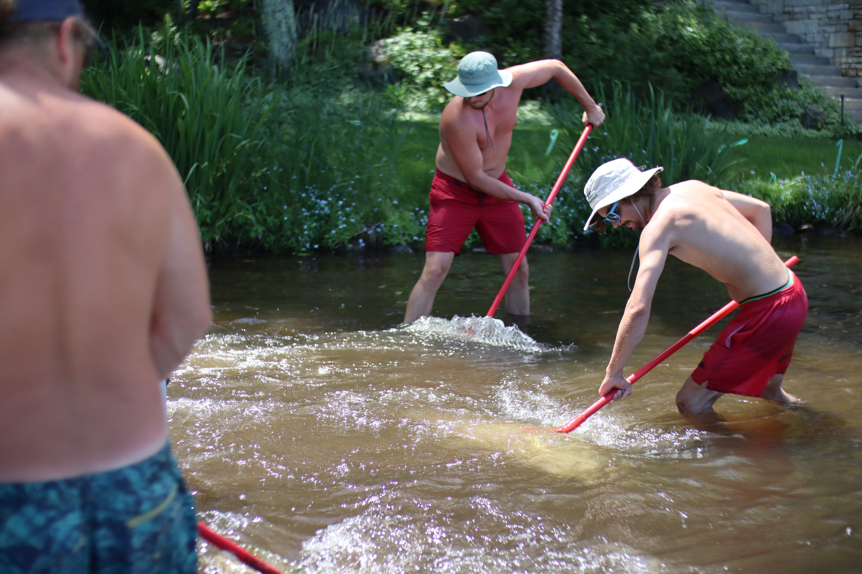 Aquatic Plant Management