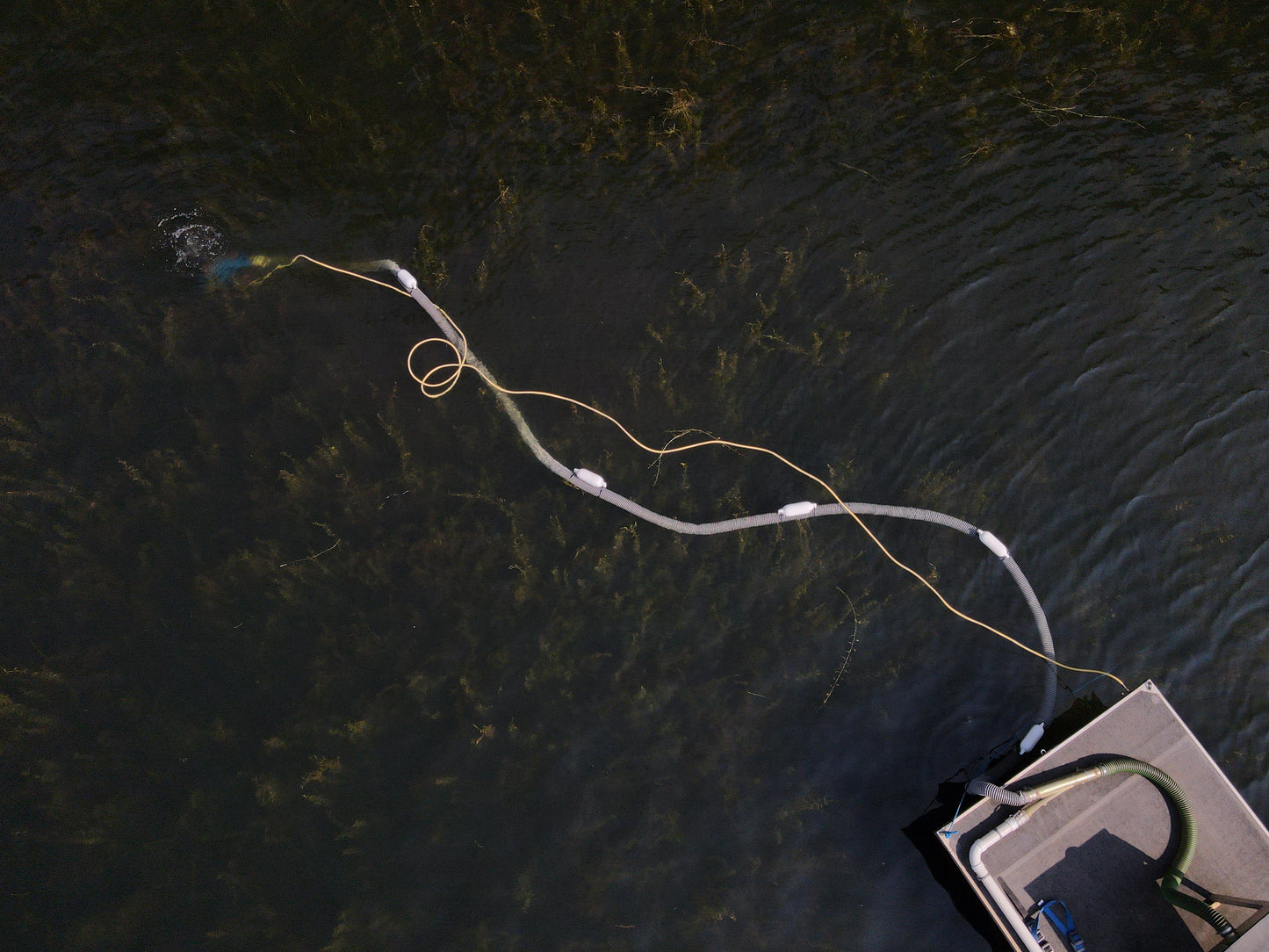 Aquatic Plant Management